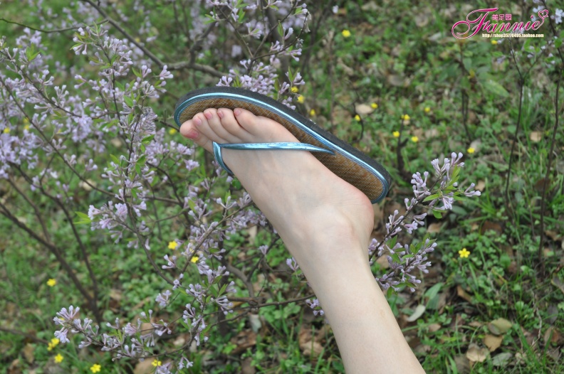 DSC 3138 | （福妹）主题相册